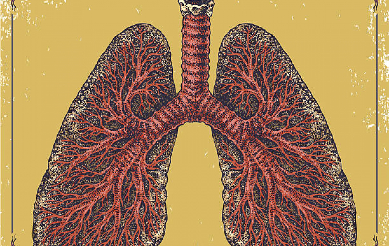 Create Your Own Breath Practice with Pranayama - Swara Yoga